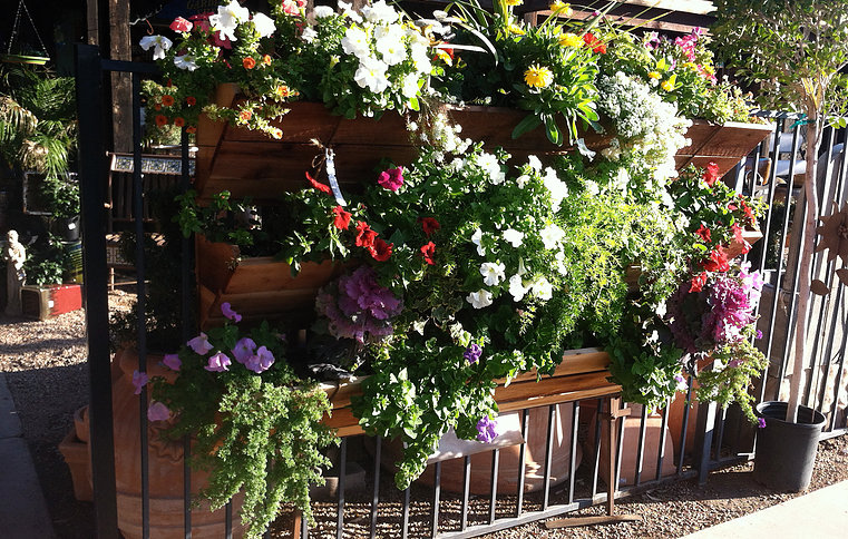 Gallery - Flower Street Urban Gardens